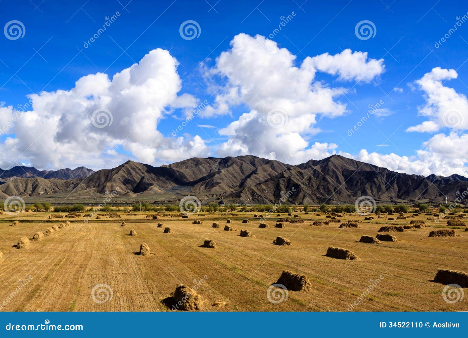 Farm stock photo. Image of landmarks, asian, chinese - 34522110