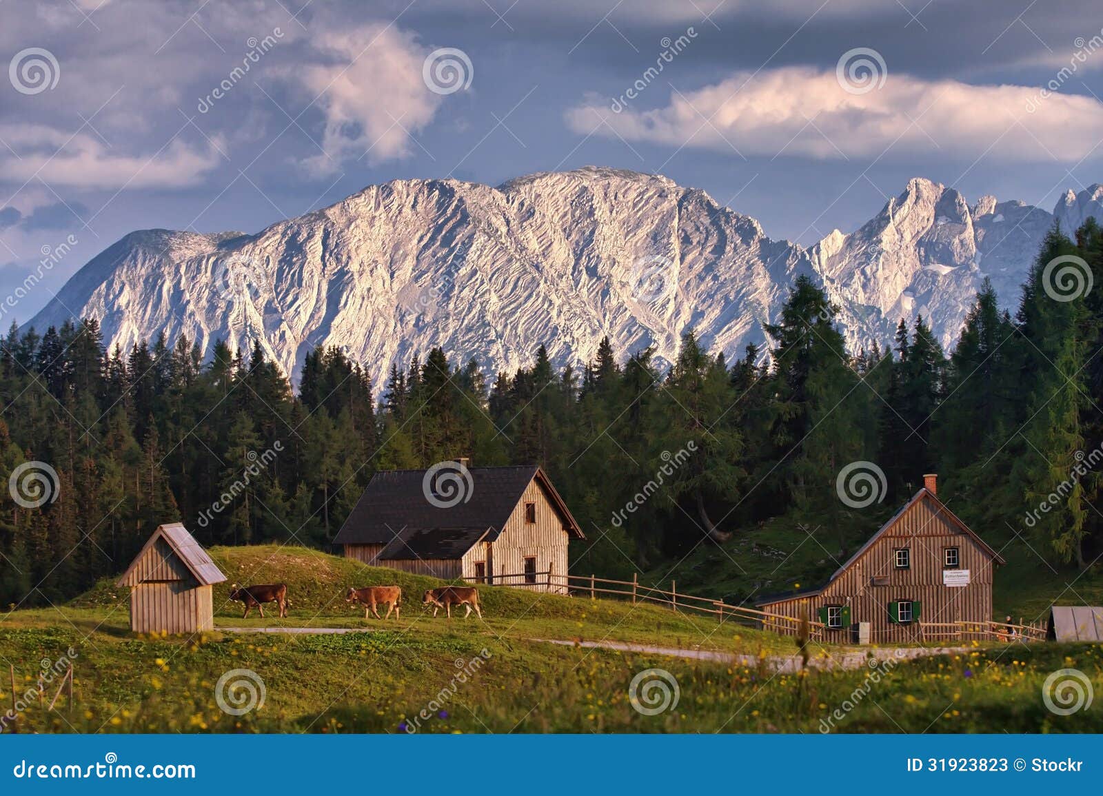 Farm in mountains stock image. Image of countryside, beautiful - 31923823