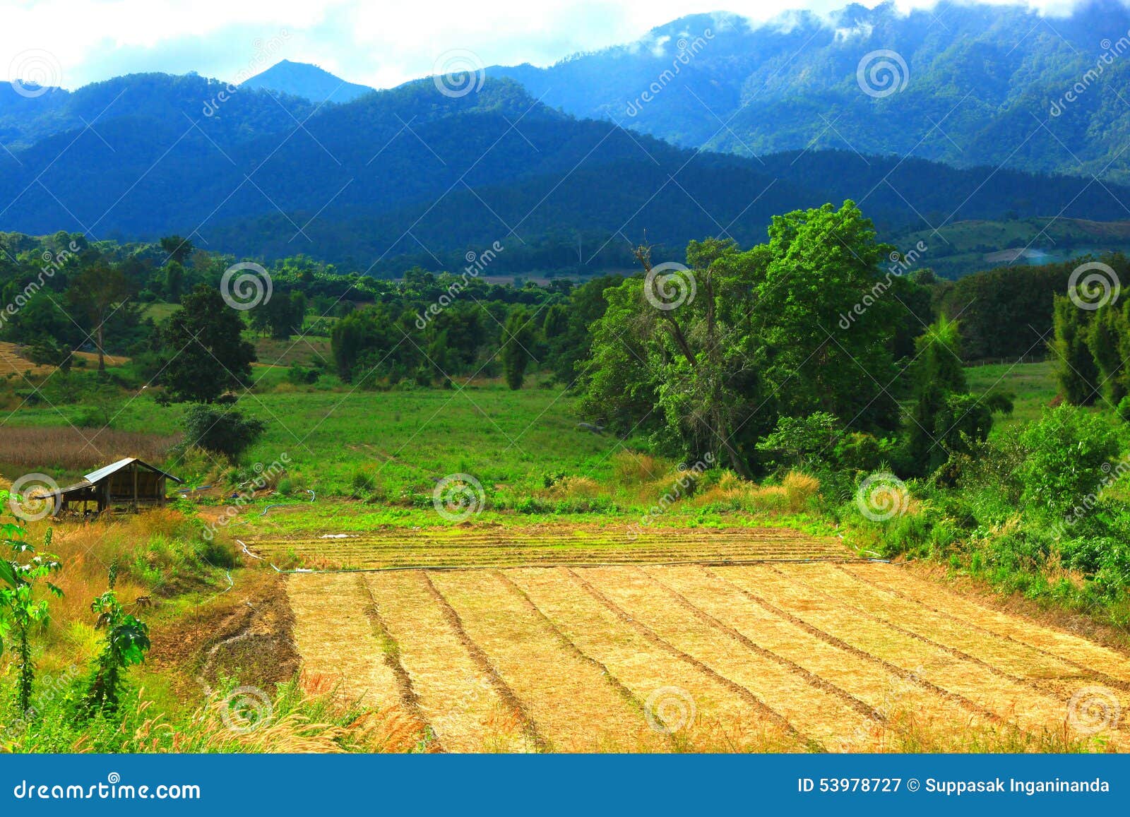 Farm in nature. stock image. Image of cloudandsky, mountain - 53978727