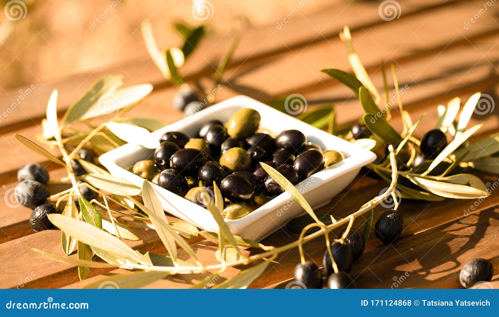 Farm Olives on Table in Olive Garden Stock Photo - Image of life ...