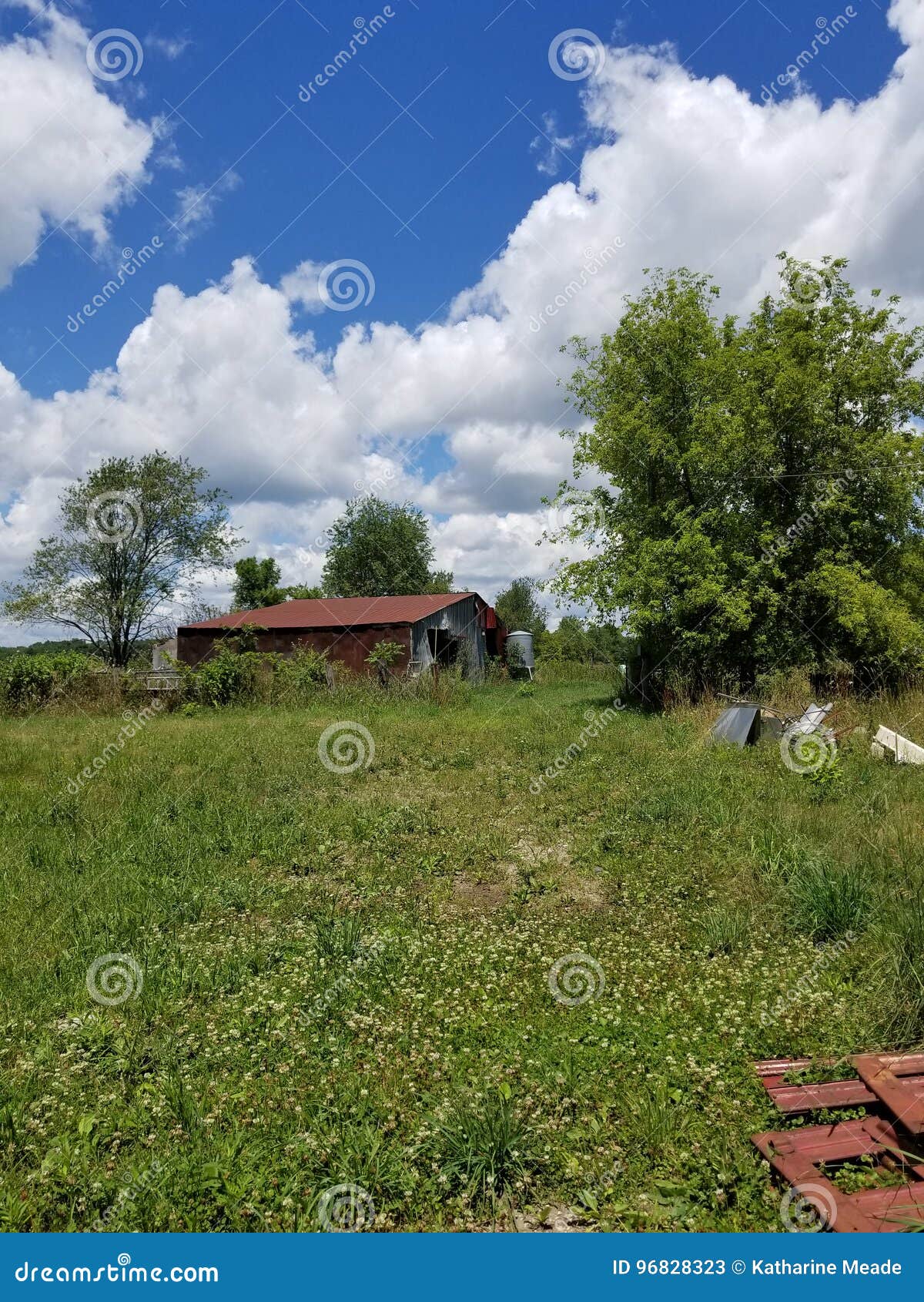 The Farm stock image. Image of trees, farm, field, animal - 96828323