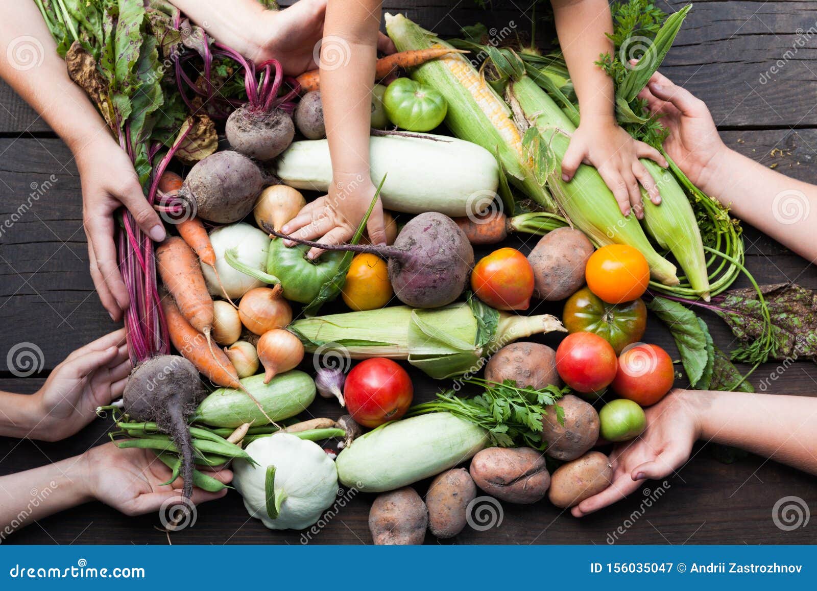 Farm Organic Nutrient Concept, Ripe Raw Vegetables Stock Image - Image ...