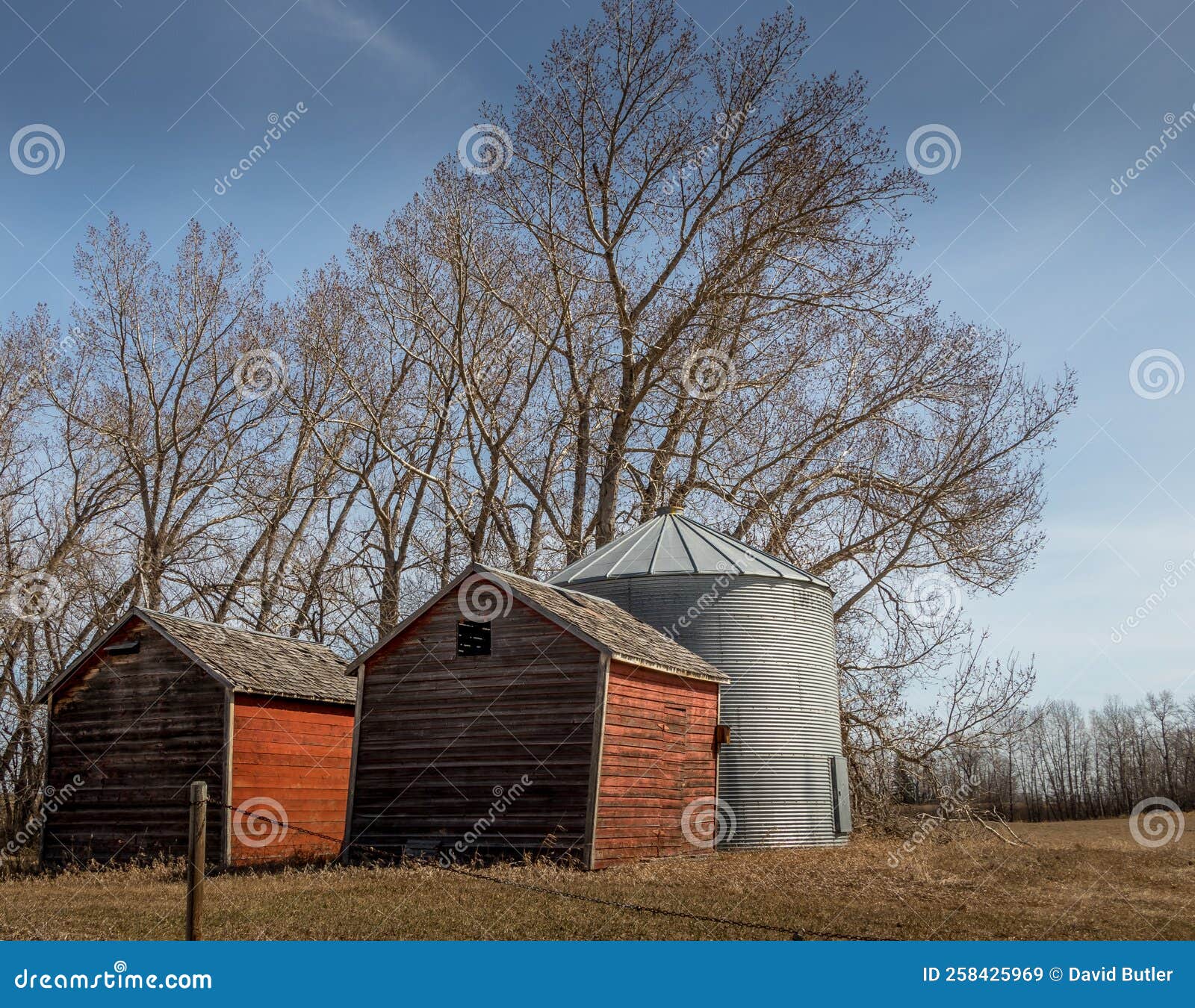 Farm Out Buildings in a Field Markerville Alberta Canada Stock Image ...