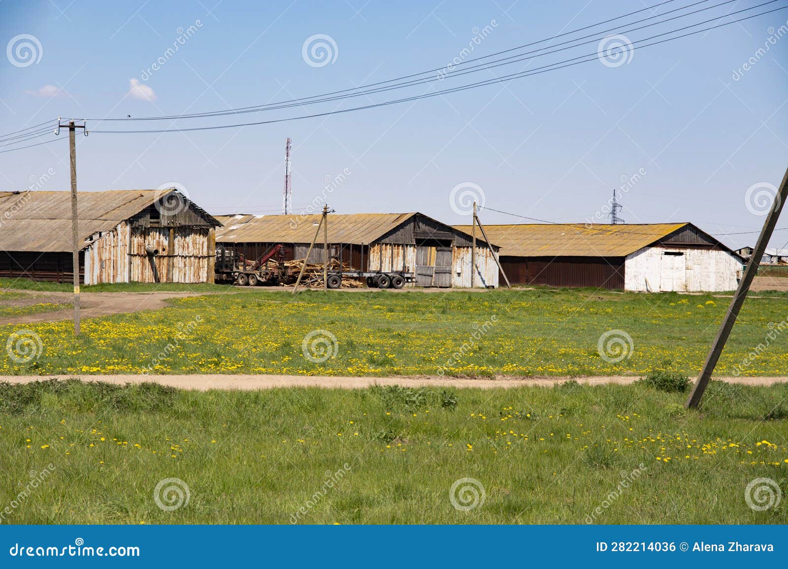 A Farm on the Outskirts of a Village in Belarus Stock Photo - Image of ...