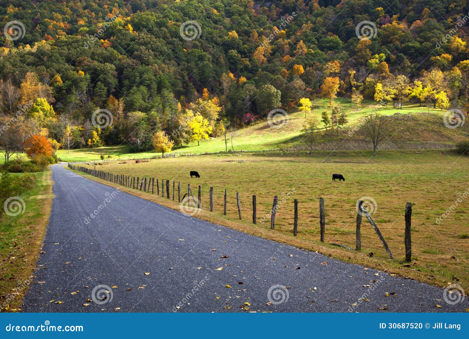 Farm and Pasture stock photo. Image of autumn, road, trees - 30687520