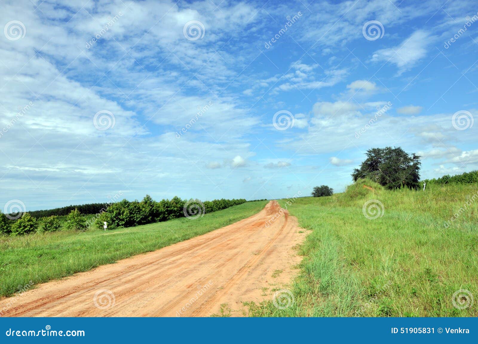 Farm path stock image. Image of clouds, dirt, blue, plants - 51905831