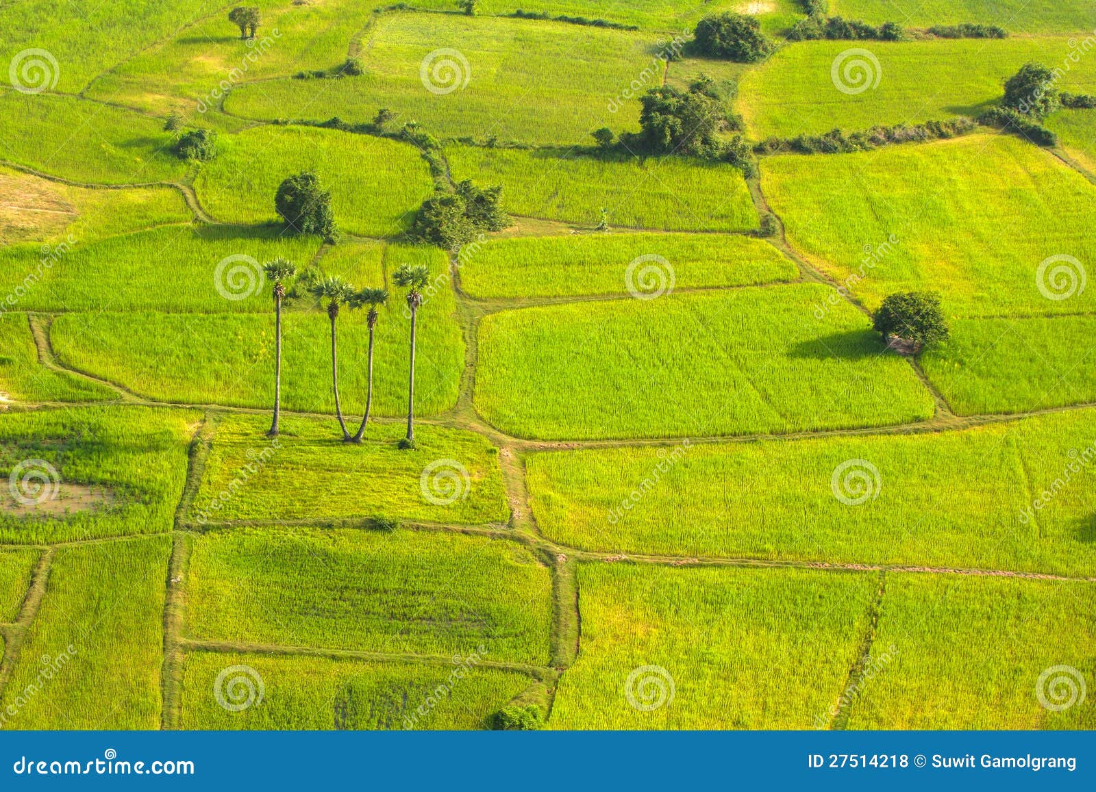 Farm pattern stock photo. Image of landscape, clear, crop - 27514218