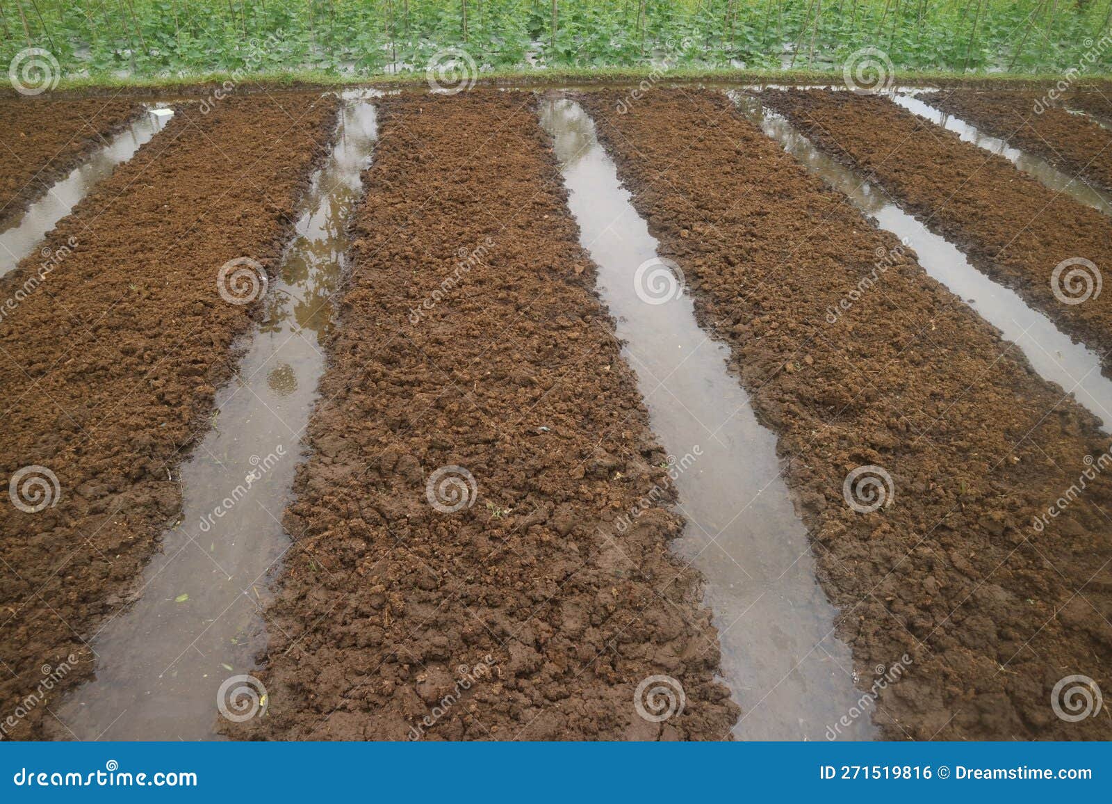 Farm Plots Ready for Planting Stock Photo - Image of planting, field ...