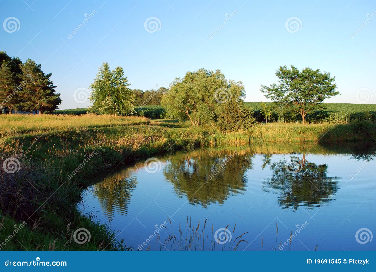 Farm pond in Nebraska stock image. Image of grassland - 19691545