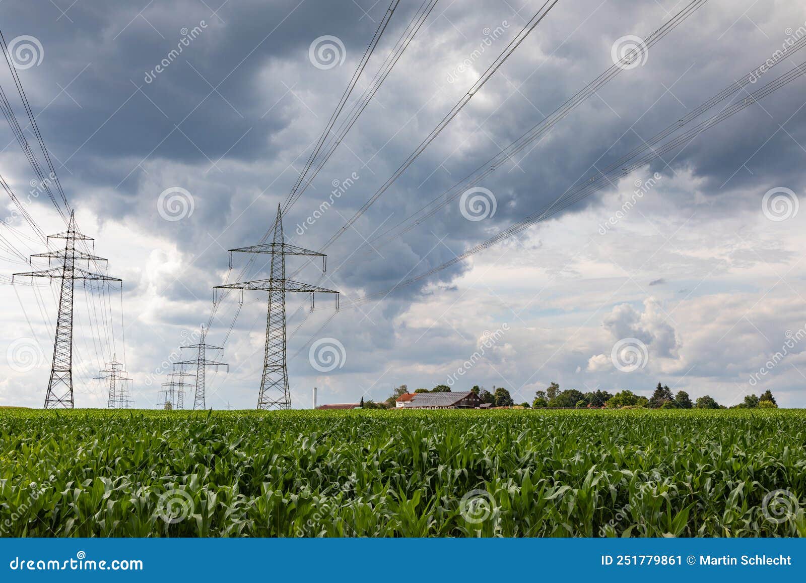 Farm with Power Lines and Corn Stock Image - Image of organic, food ...