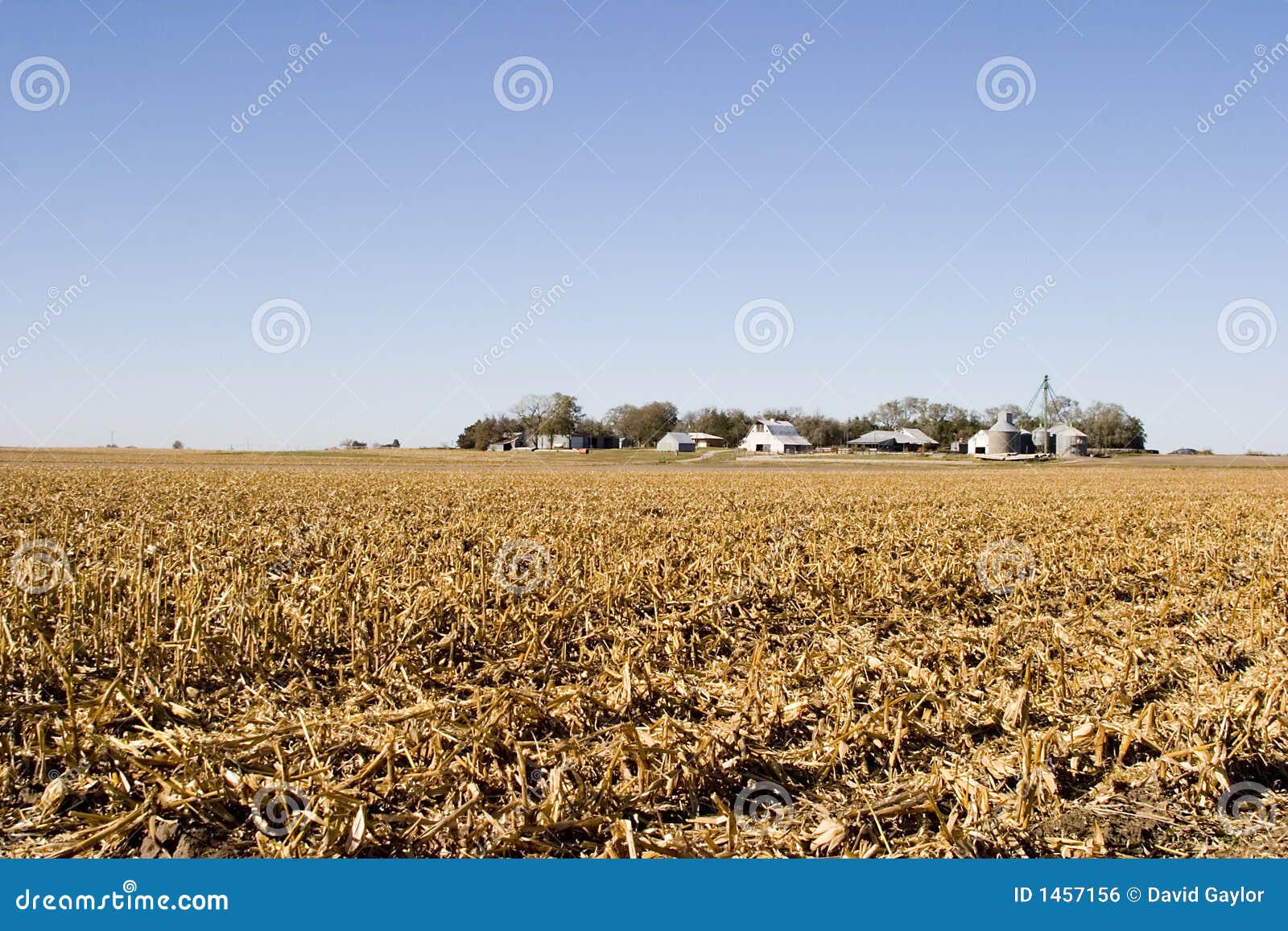 Farm on the Prairie stock photo. Image of midwest, horizon - 1457156