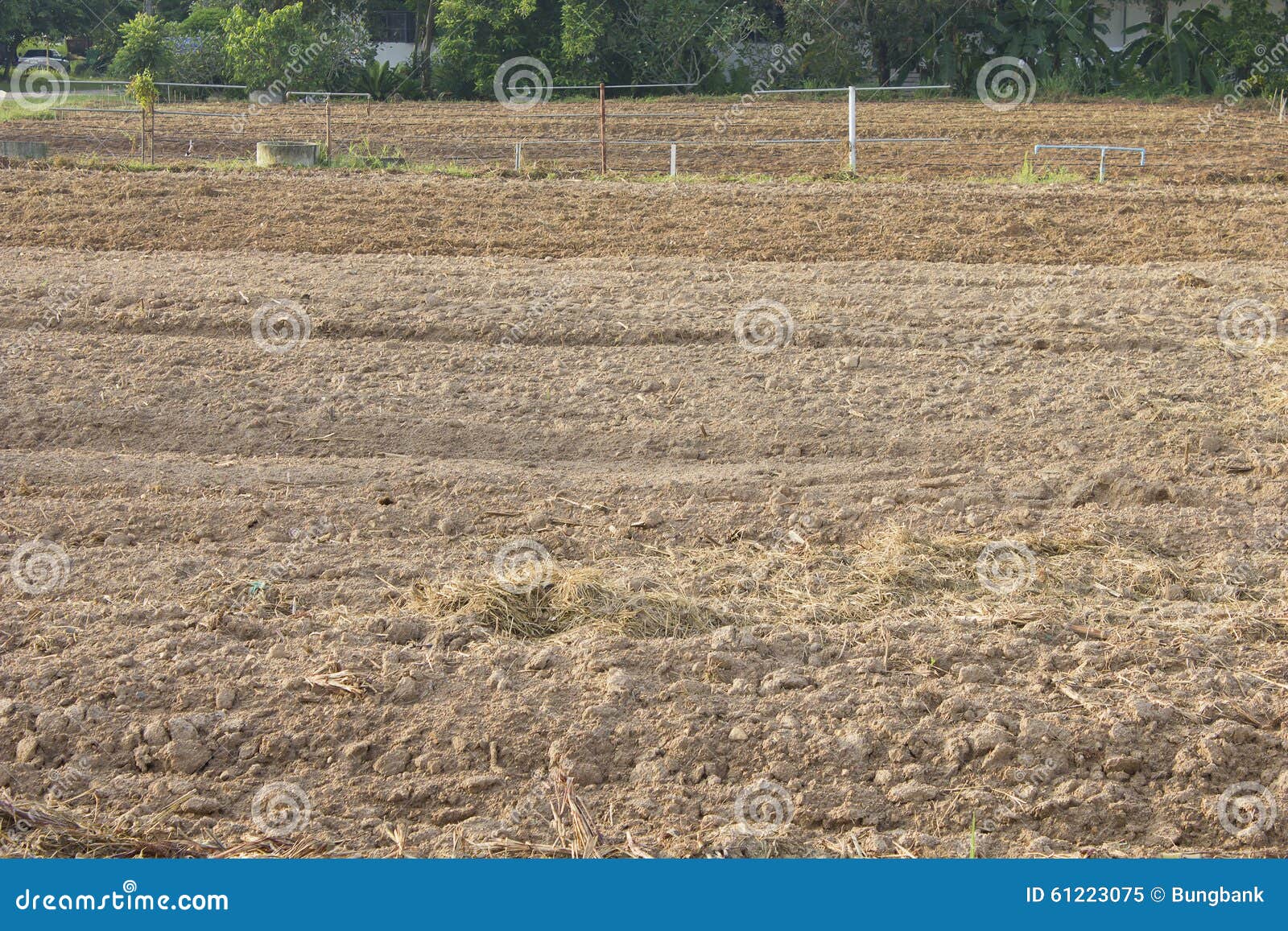 Farm preparation stock image. Image of agronomy, environment - 61223075