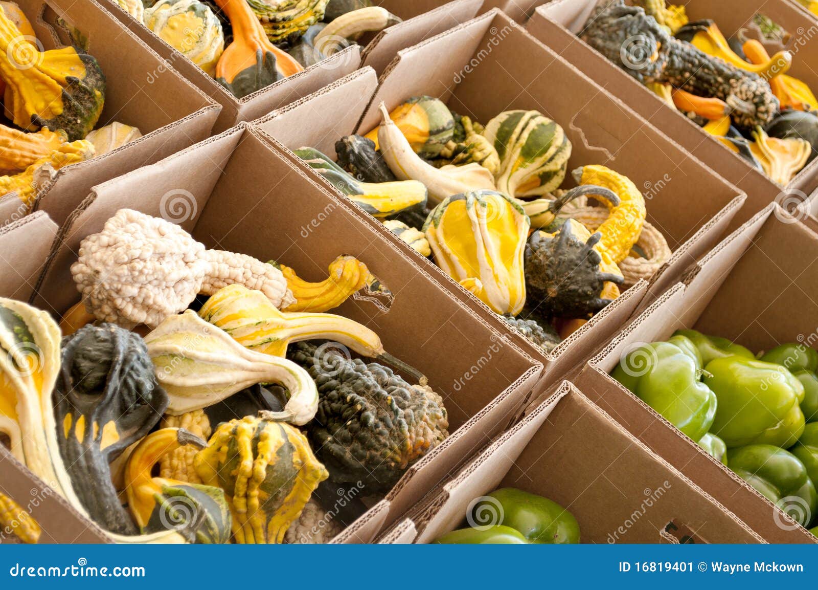 Farm produce stock image. Image of assortment, avocado - 16819401