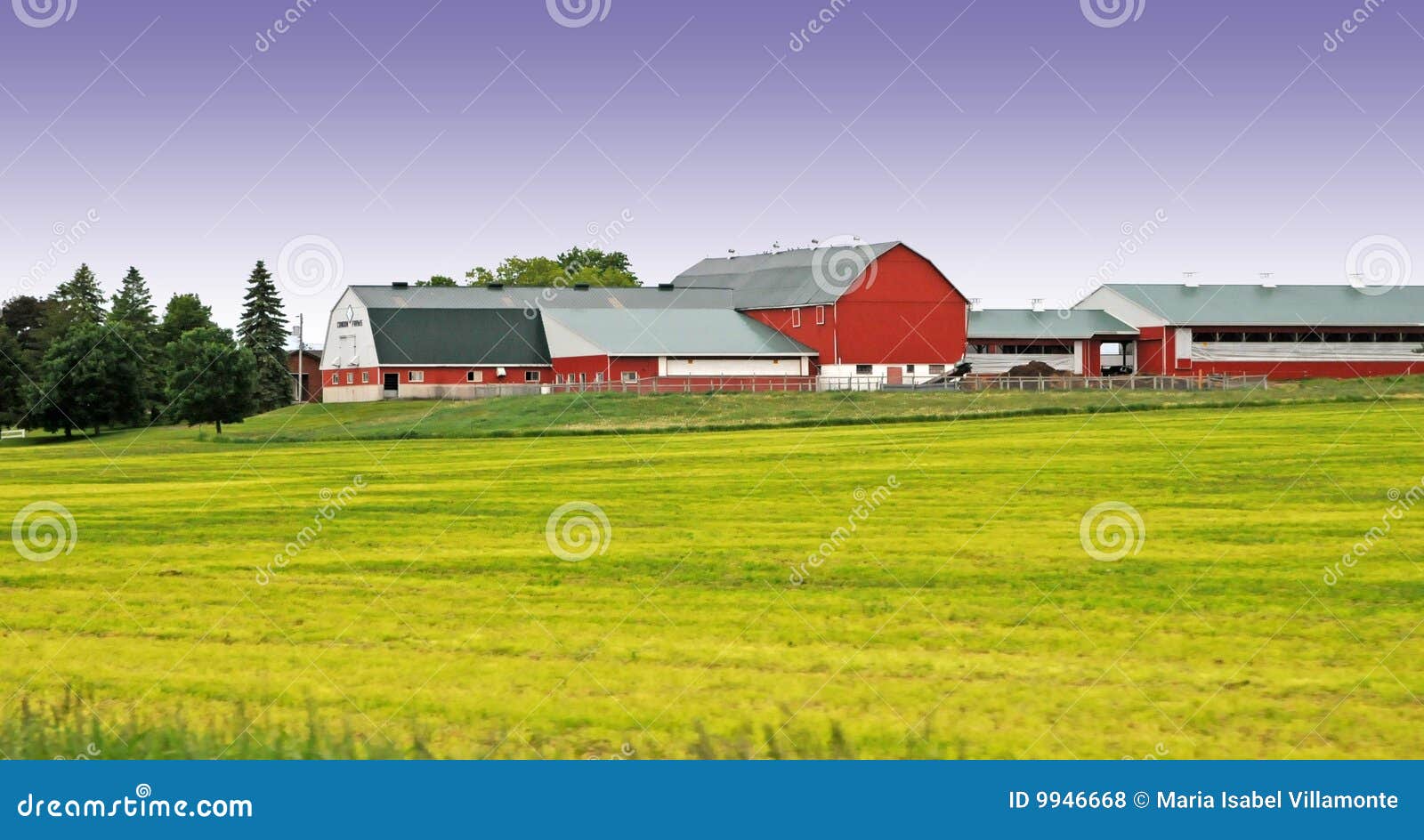 Farm with purple sky stock photo. Image of clouds, garden - 9946668