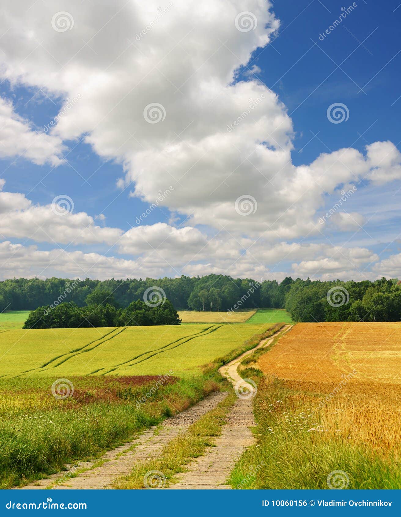Farm Road stock photo. Image of landscape, country, summer - 10060156