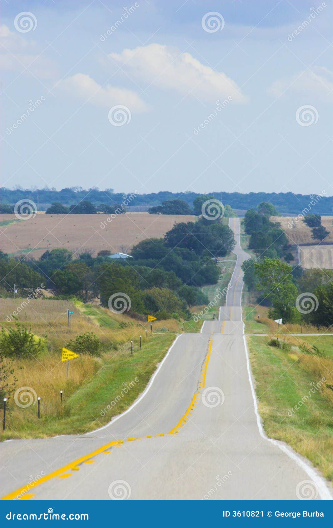 Farm road stock image. Image of path, outside, country - 3610821