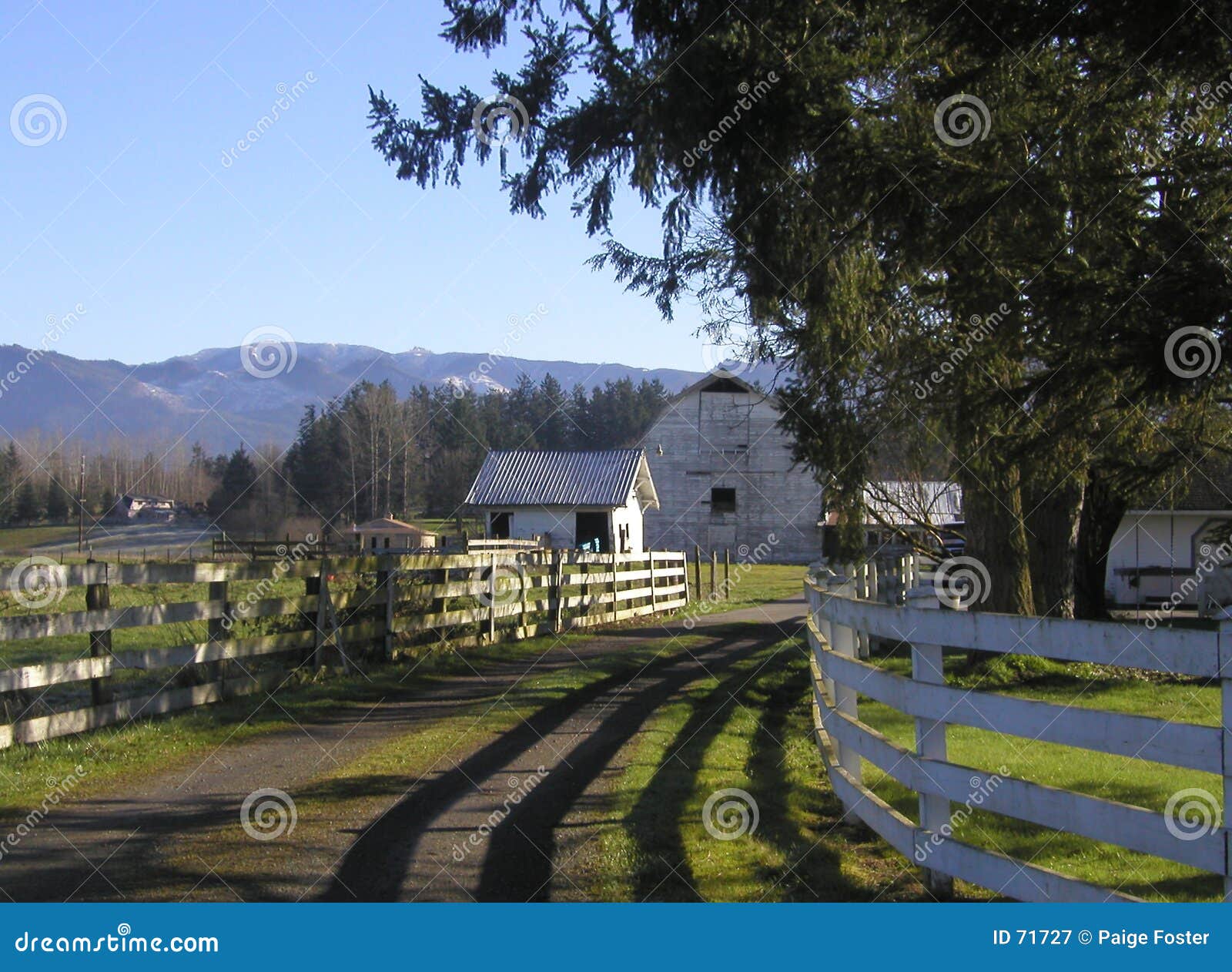 Farm Road stock image. Image of grass, trees, shadows, buildings - 71727