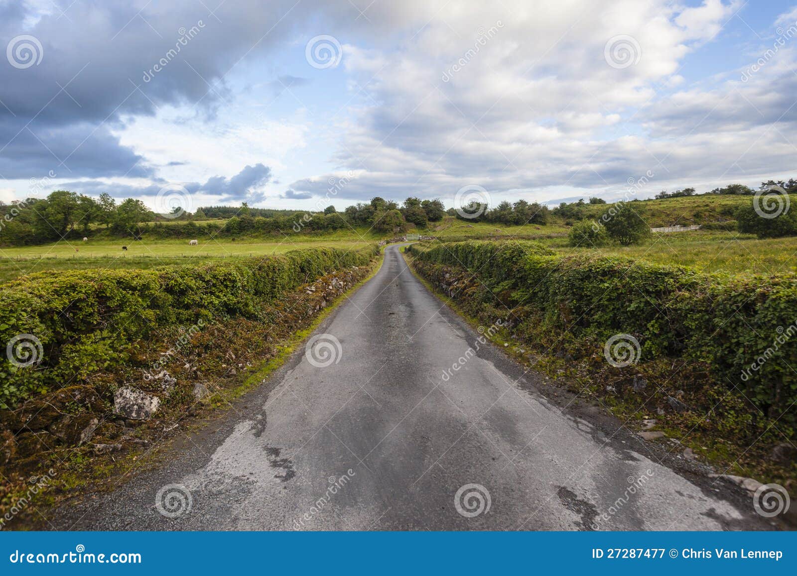 Farm Road Landscape Ireland Stock Image - Image of blue, green: 27287477