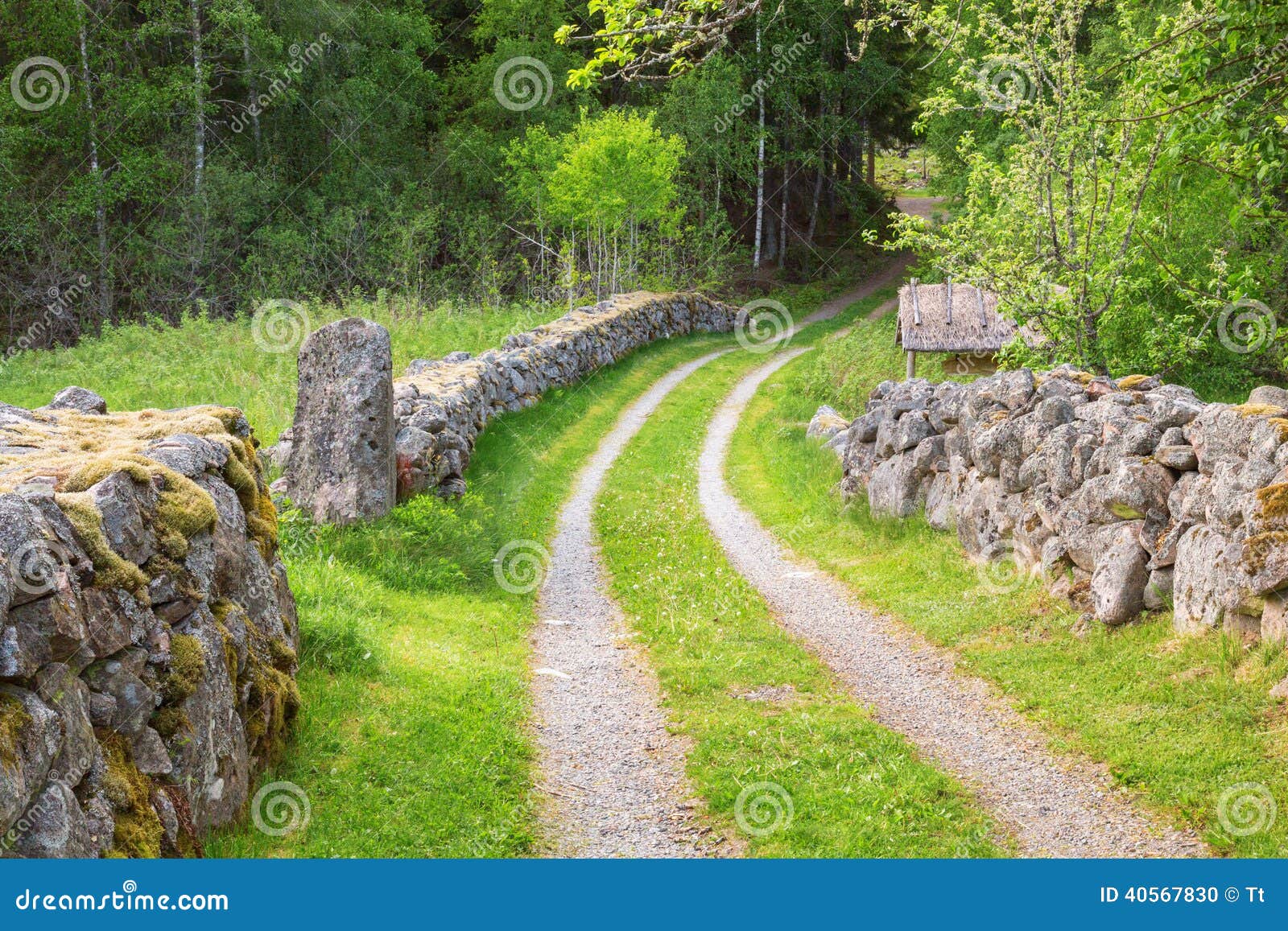 Farm road stock photo. Image of scenic, luch, footpath - 40567830