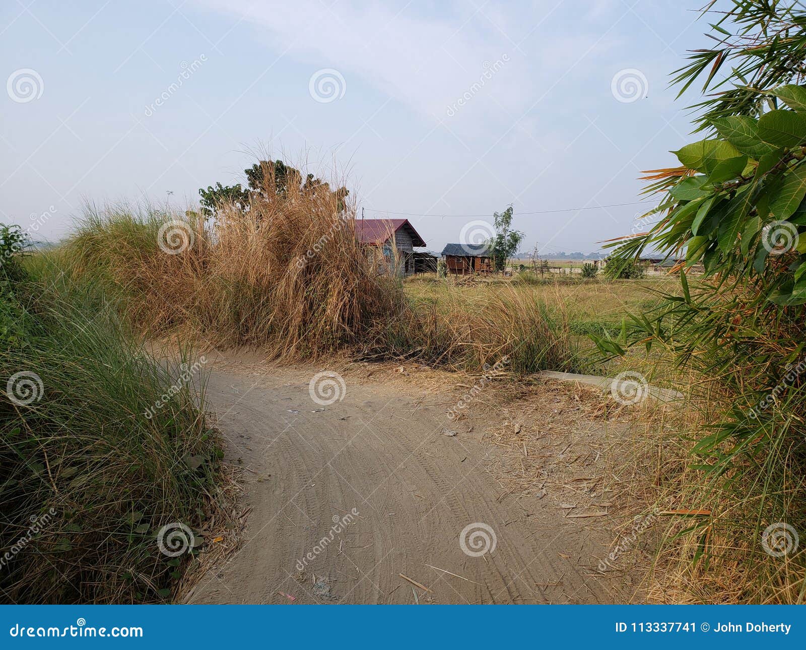 Farm Road Philippines stock image. Image of road, philippines - 113337741