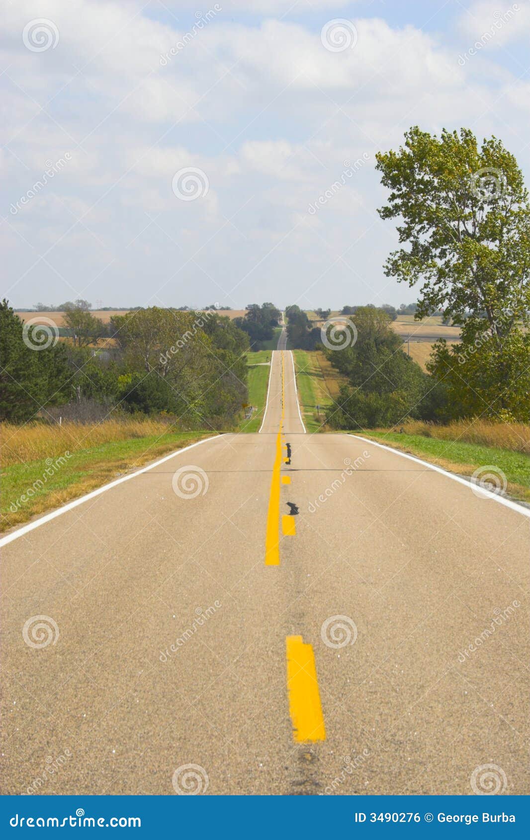 Farm roads stock photo. Image of grow, plain, peaceful - 3490276