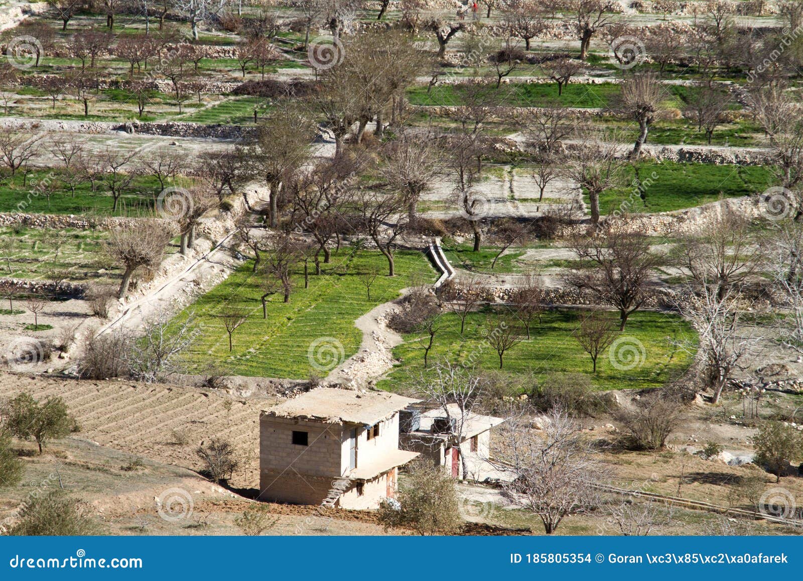 Farm in Rural Central Syria Stock Photo - Image of arabs, green: 185805354