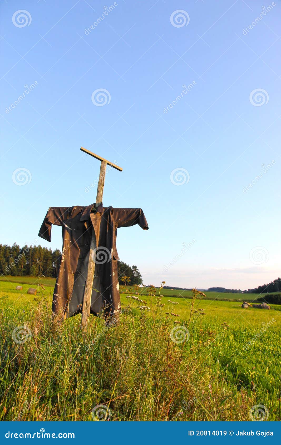 Farm scarecrow stock image. Image of harvest, background - 20814019