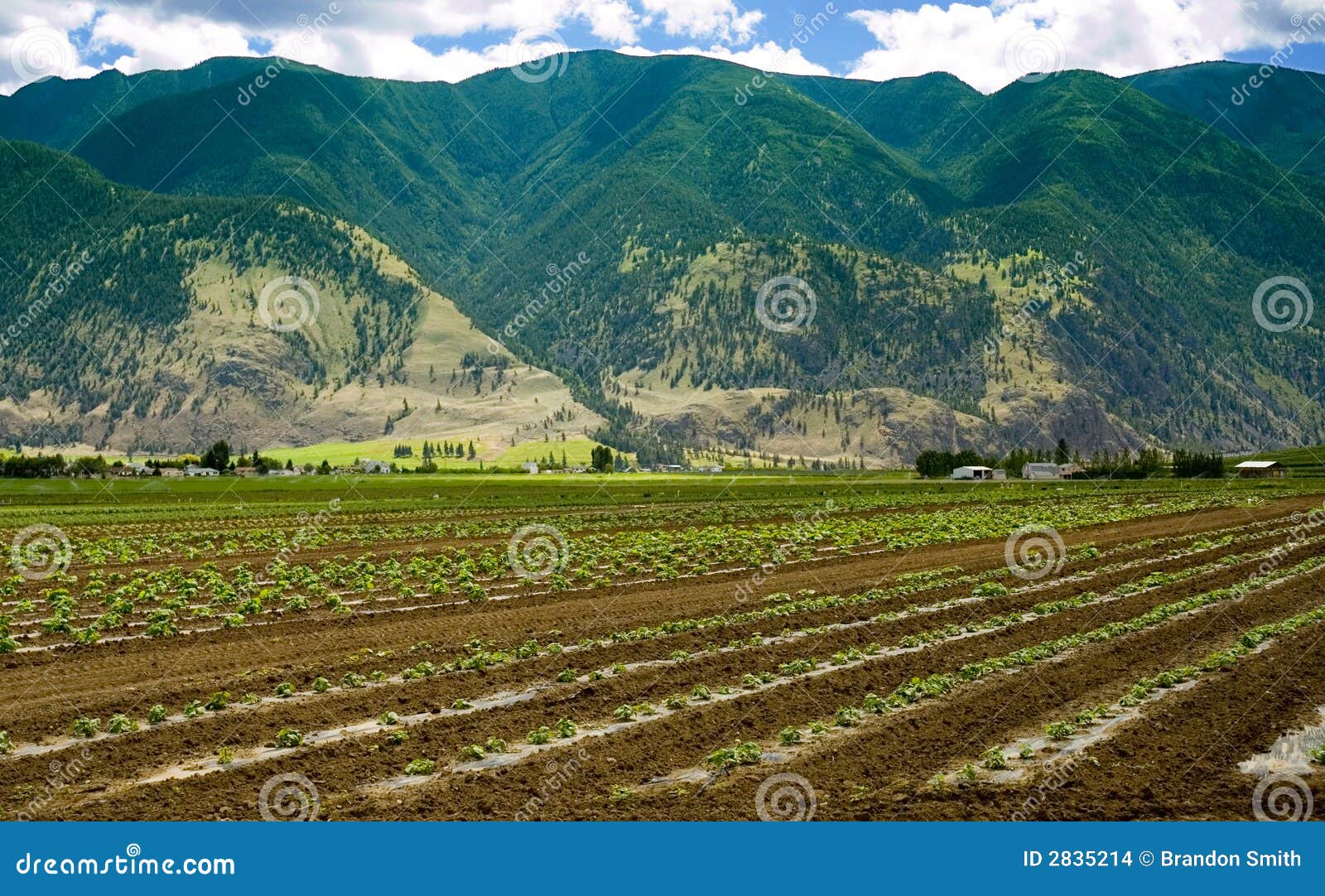 Farm Scene - 1 stock photo. Image of yield, prairies, crops - 2835214