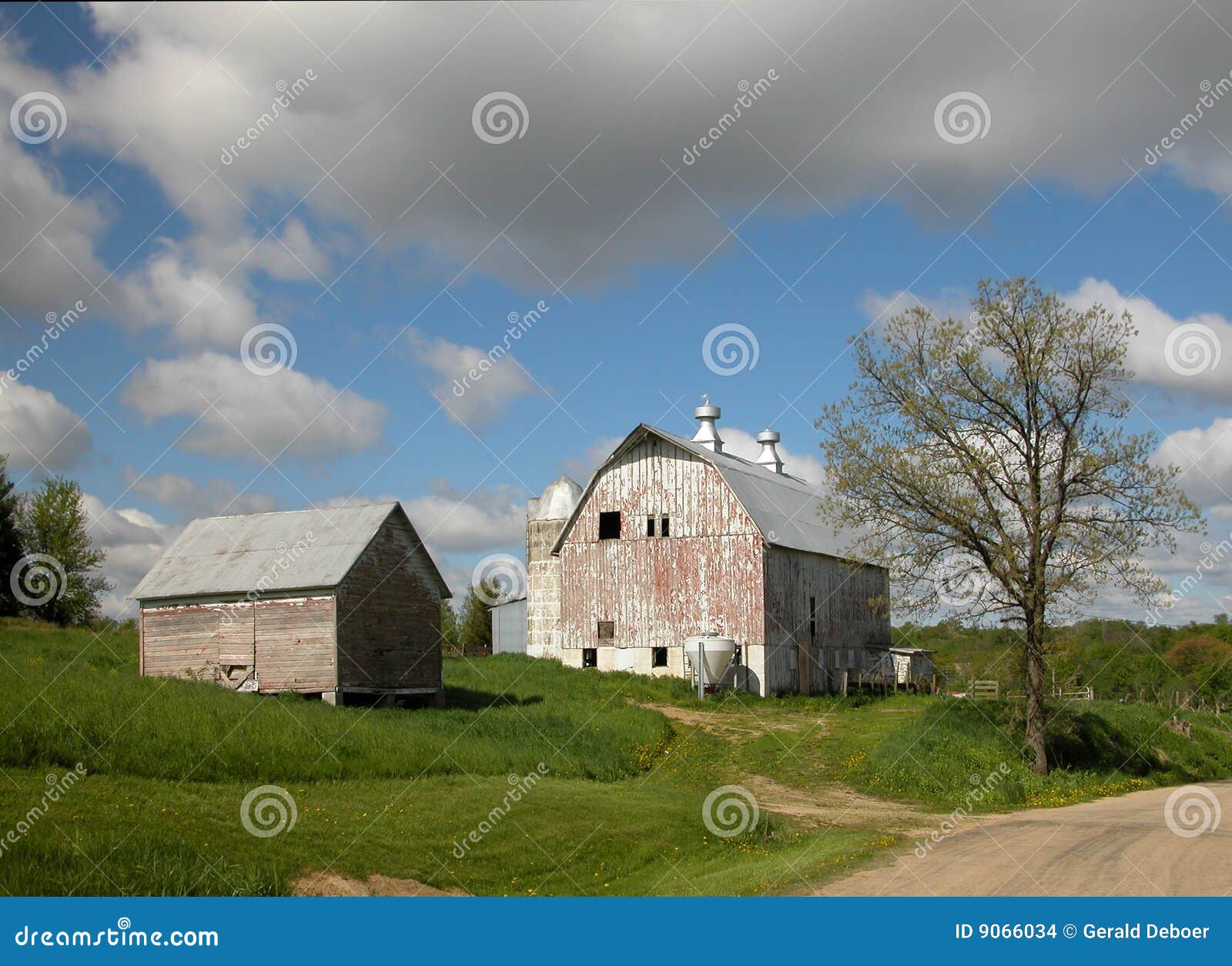 Farm Scene stock photo. Image of gravel, structure, barns - 9066034
