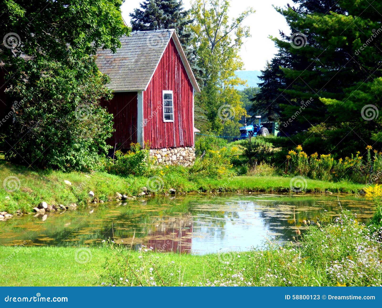 Farm scene stock image. Image of scene, pads, summer - 58800123