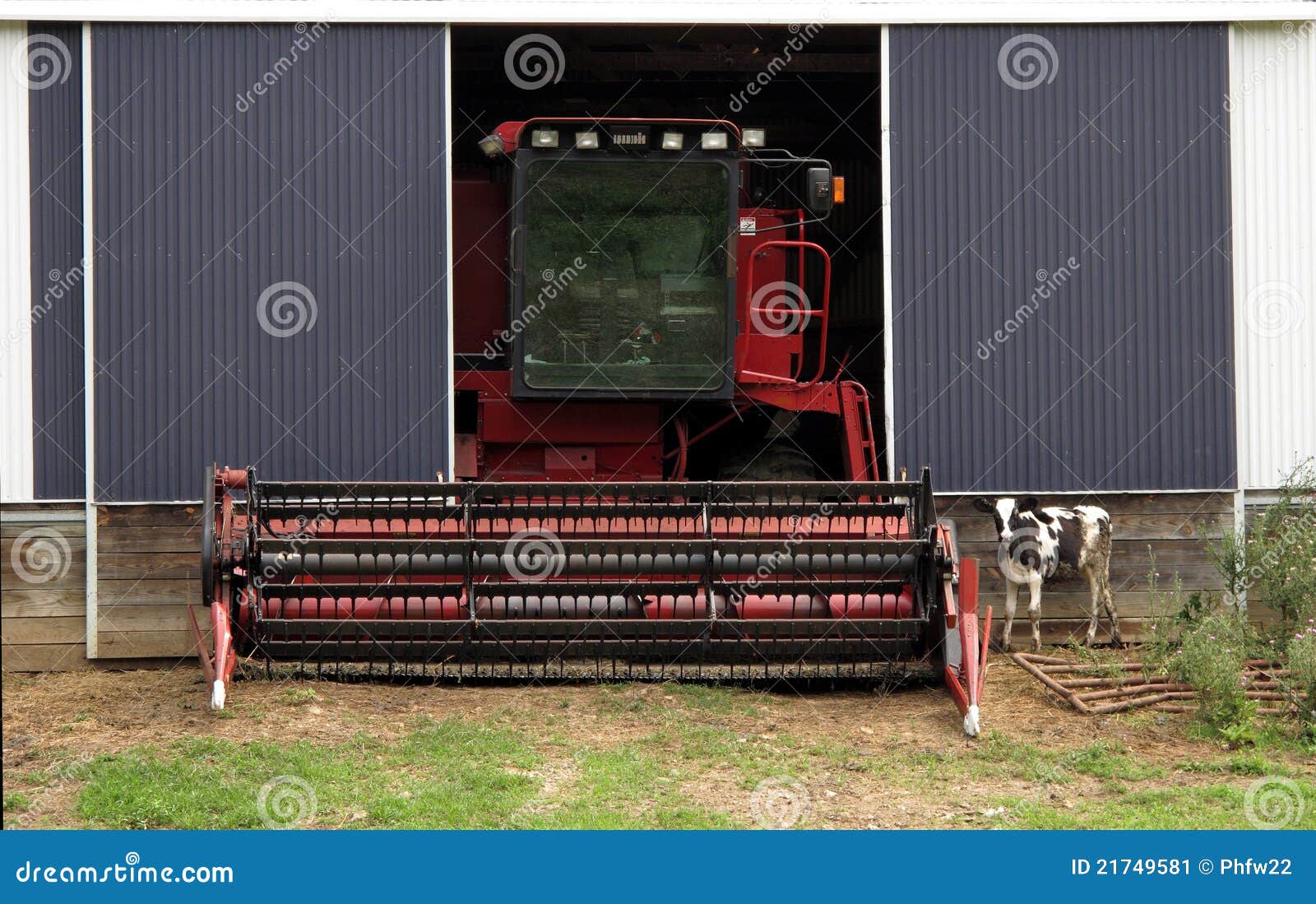 Farm Scene, Cow and a Combine Stock Image - Image of farm, commercial ...
