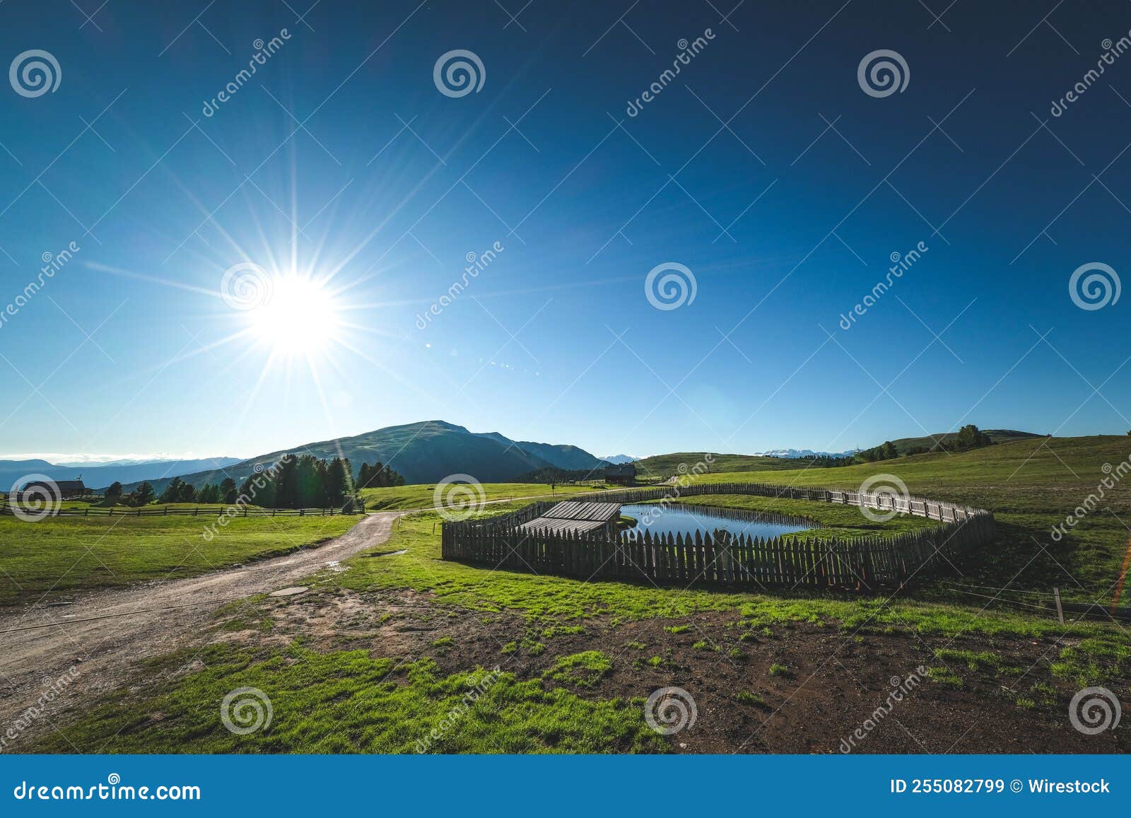 Farm Scenery on a Bright Sunny Day in the Countryside Stock Image ...