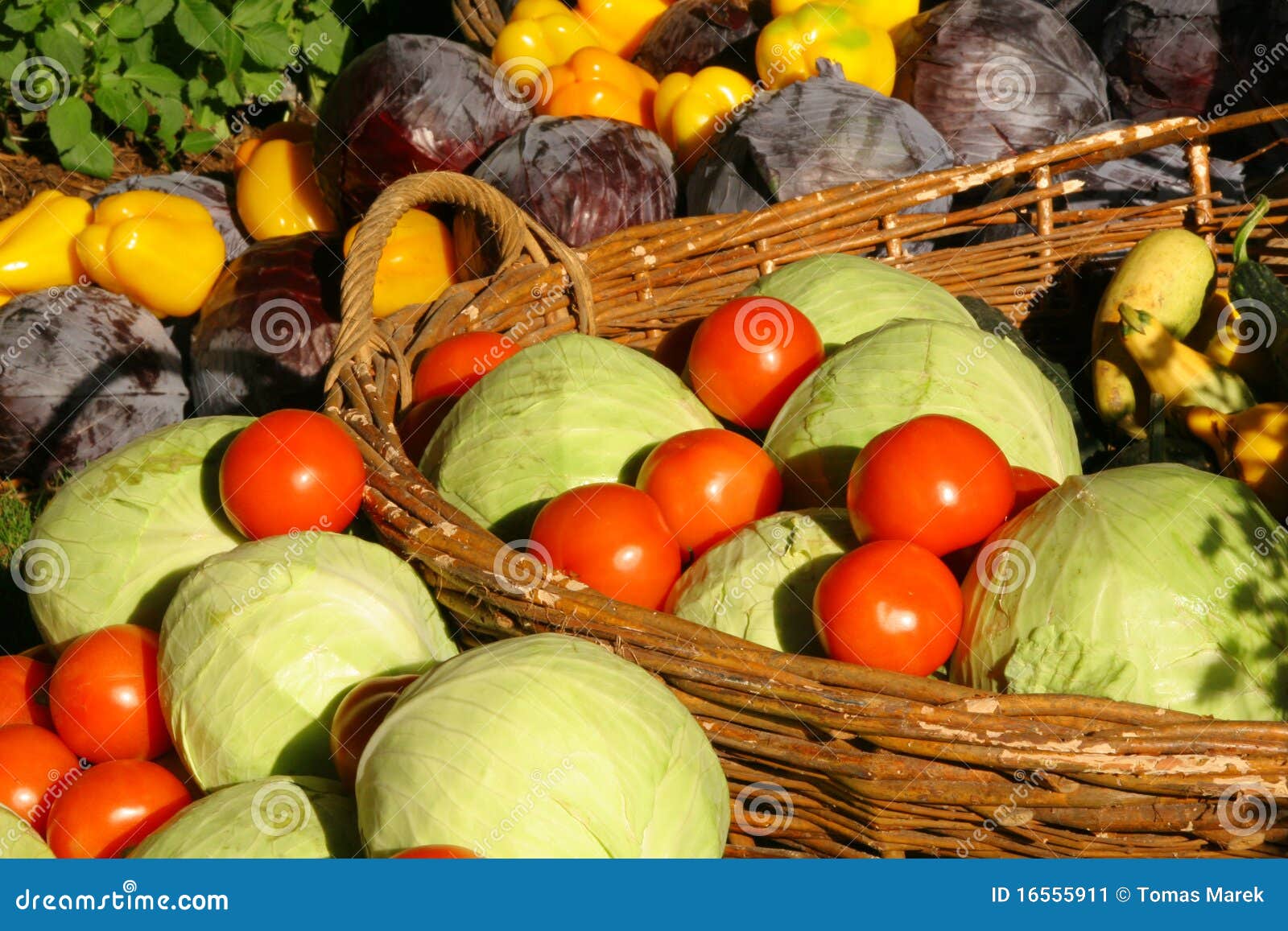 Farm seasonal vegetable stock image. Image of nutrition - 16555911