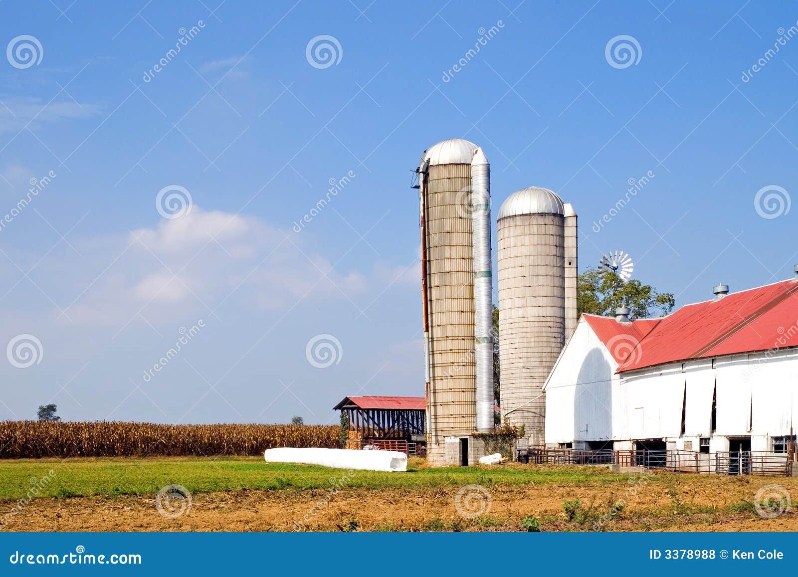 Farm and silos stock photo. Image of rural, corn, bright - 3378988