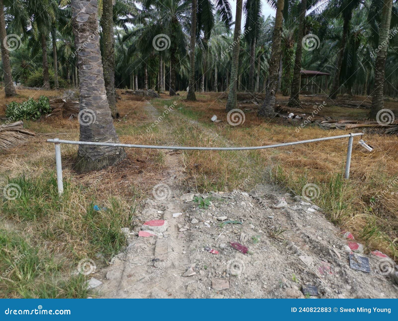 Farm Simple Entrance Iron Barrier Stock Image - Image of outdoor ...