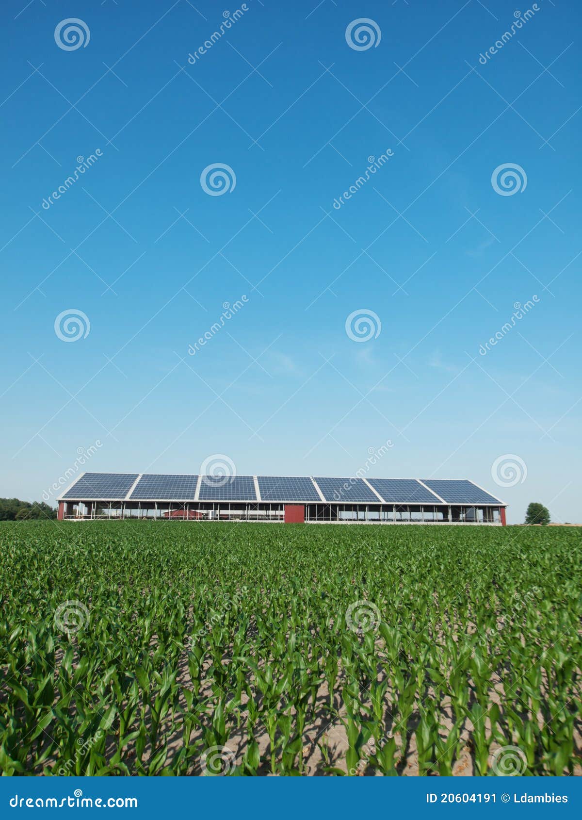 Farm and solar panel stock image. Image of power, development - 20604191