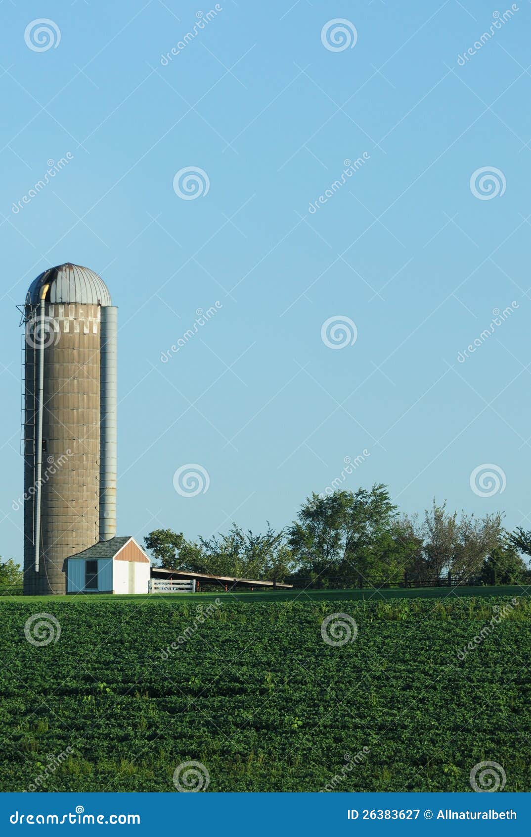 Farm with Soy Beans and Silo in the Country Stock Image - Image of ...