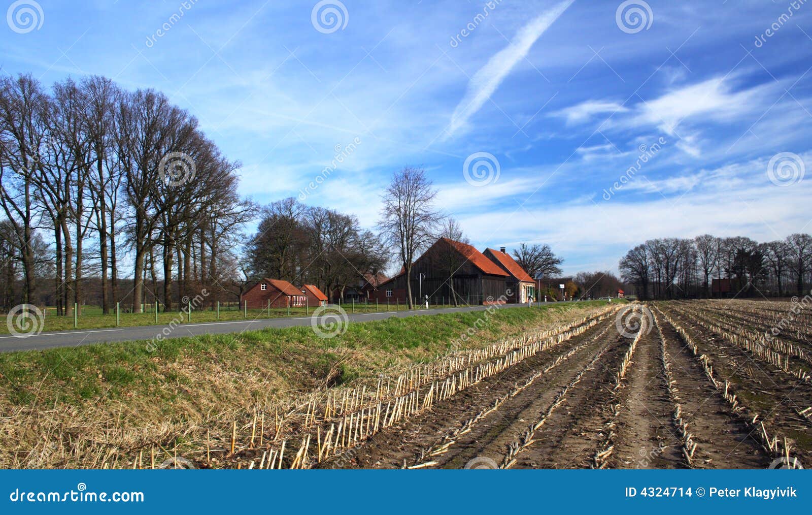 Farm in spring stock photo. Image of house, scenic, field - 4324714