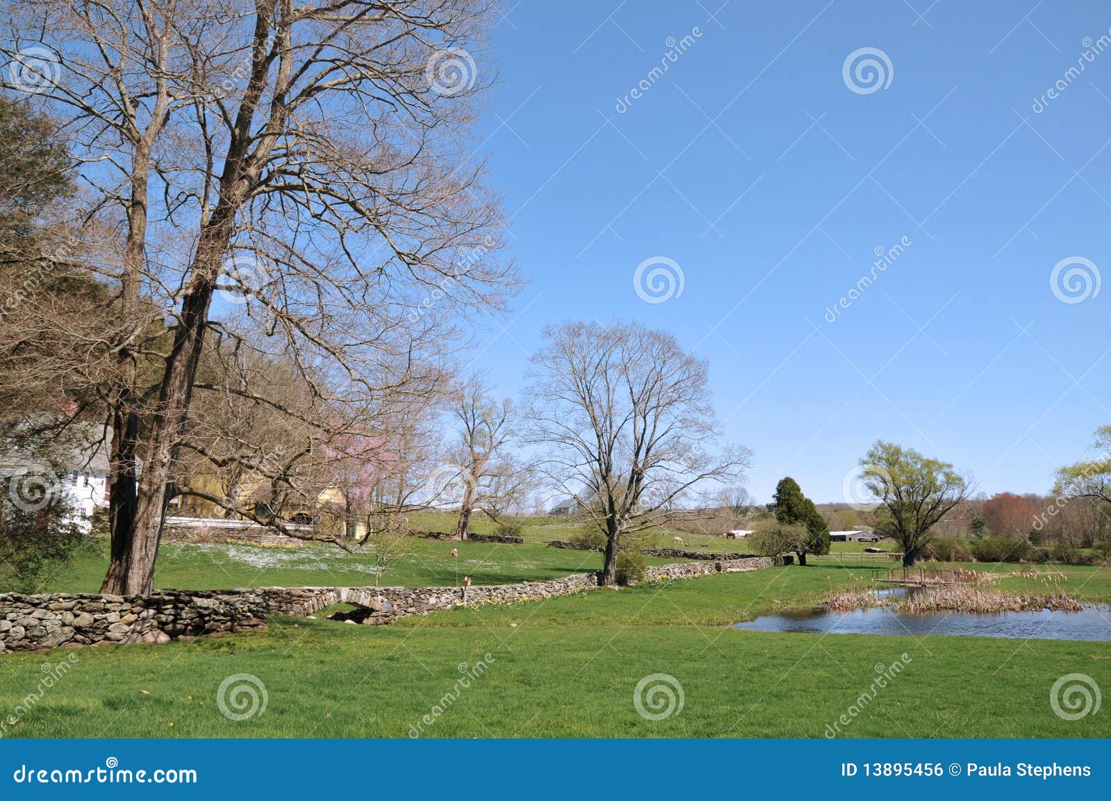 Farm on a Spring Day stock photo. Image of pastoral, landscape - 13895456