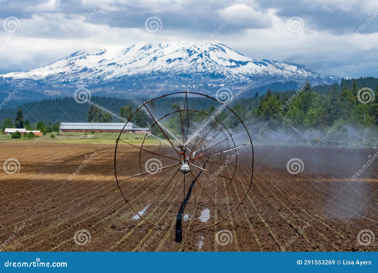 Farm Sprinklers with a View, Mt Adams Stock Image - Image of beautiful ...