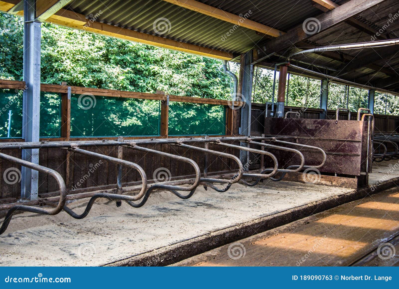 Farm stables for cattle stock image. Image of cattle - 189090763