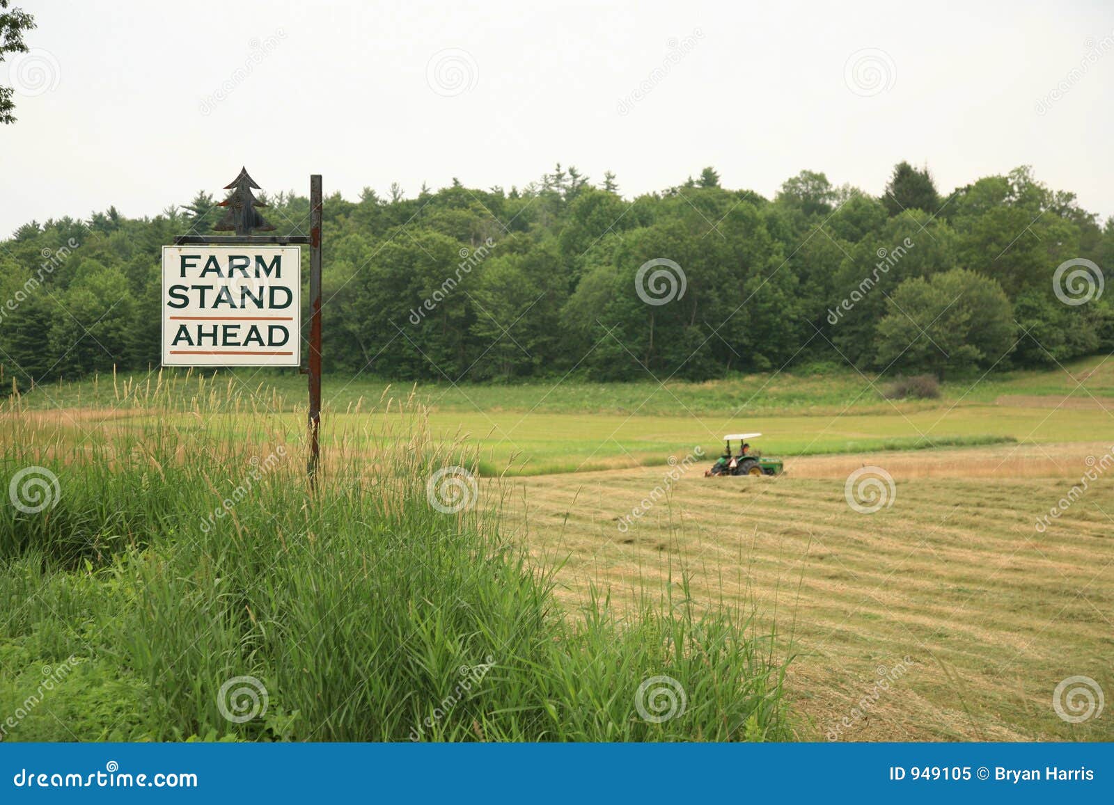 Farm Stand Ahead stock image. Image of field, trees, labor - 949105
