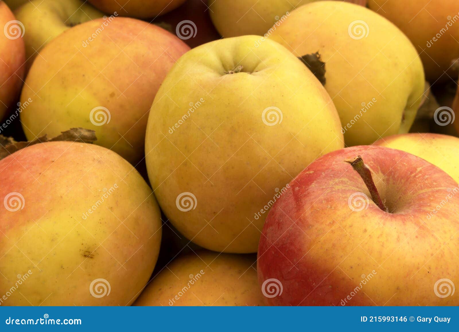 Farm Stand Apples in Parkdale, Oregon Stock Photo - Image of apples ...
