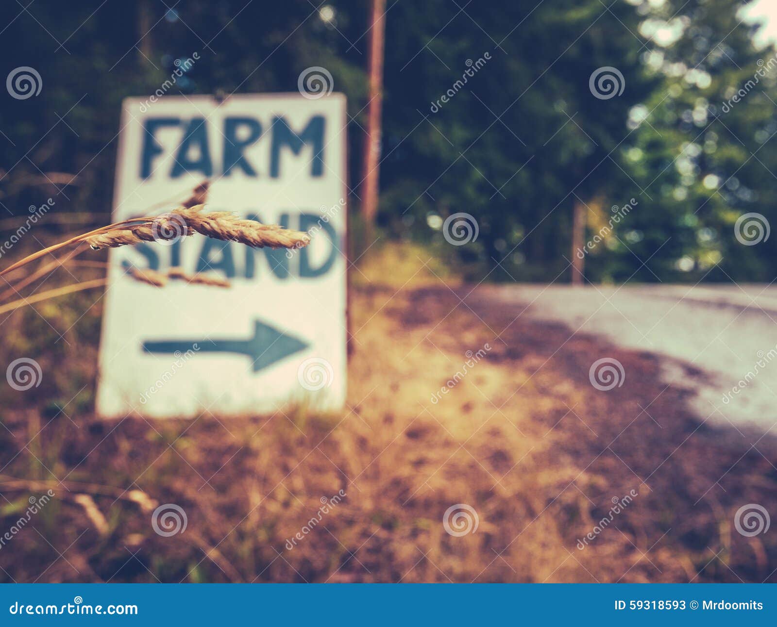 Farm Stand Sign stock image. Image of food, countryside - 59318593