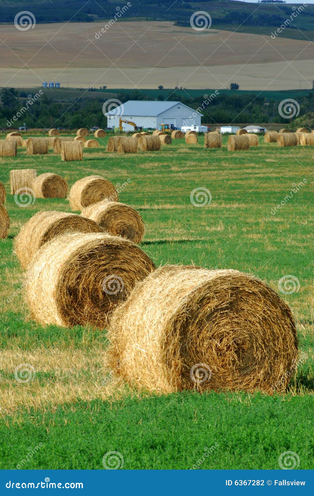Farm with straw piles stock photo. Image of countryside - 6367282