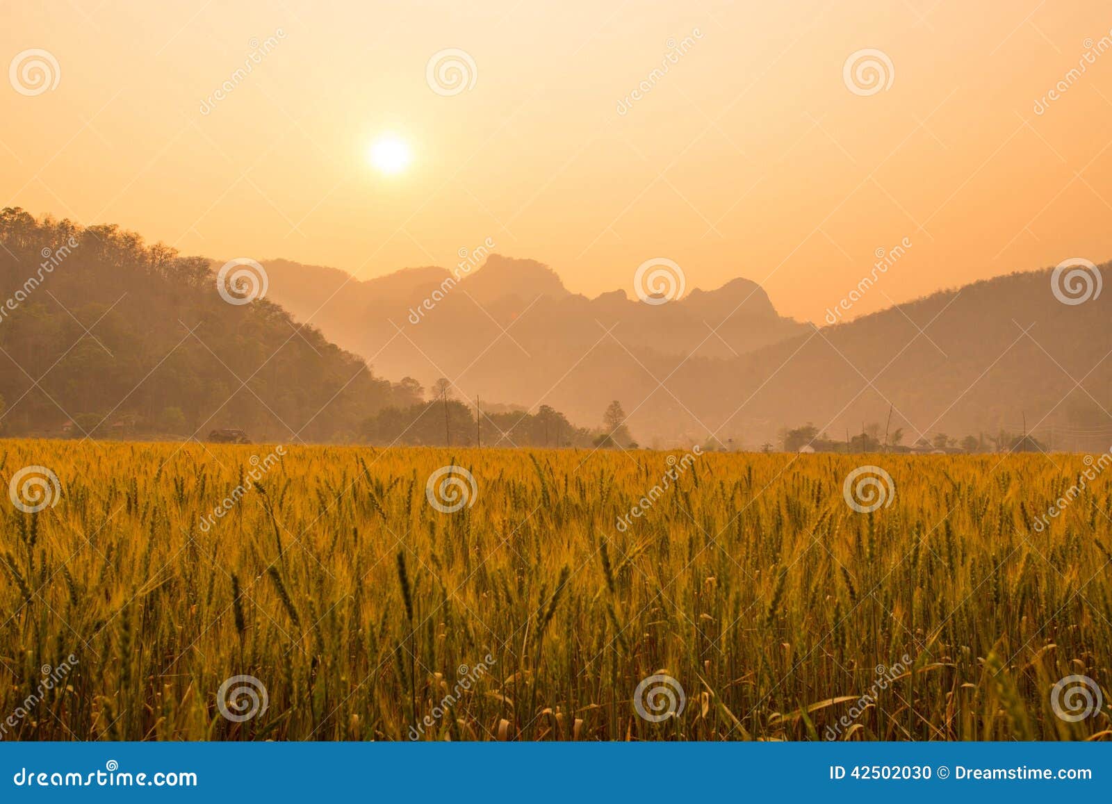 Farm and the sun stock photo. Image of field, farm, moutain - 42502030