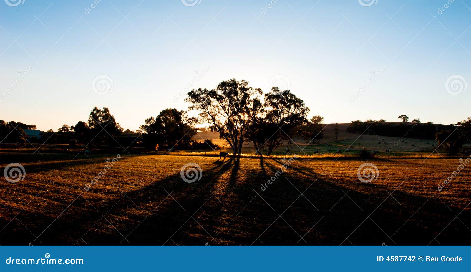 Farm Sunset Shadows stock photo. Image of large, scenic - 4587742