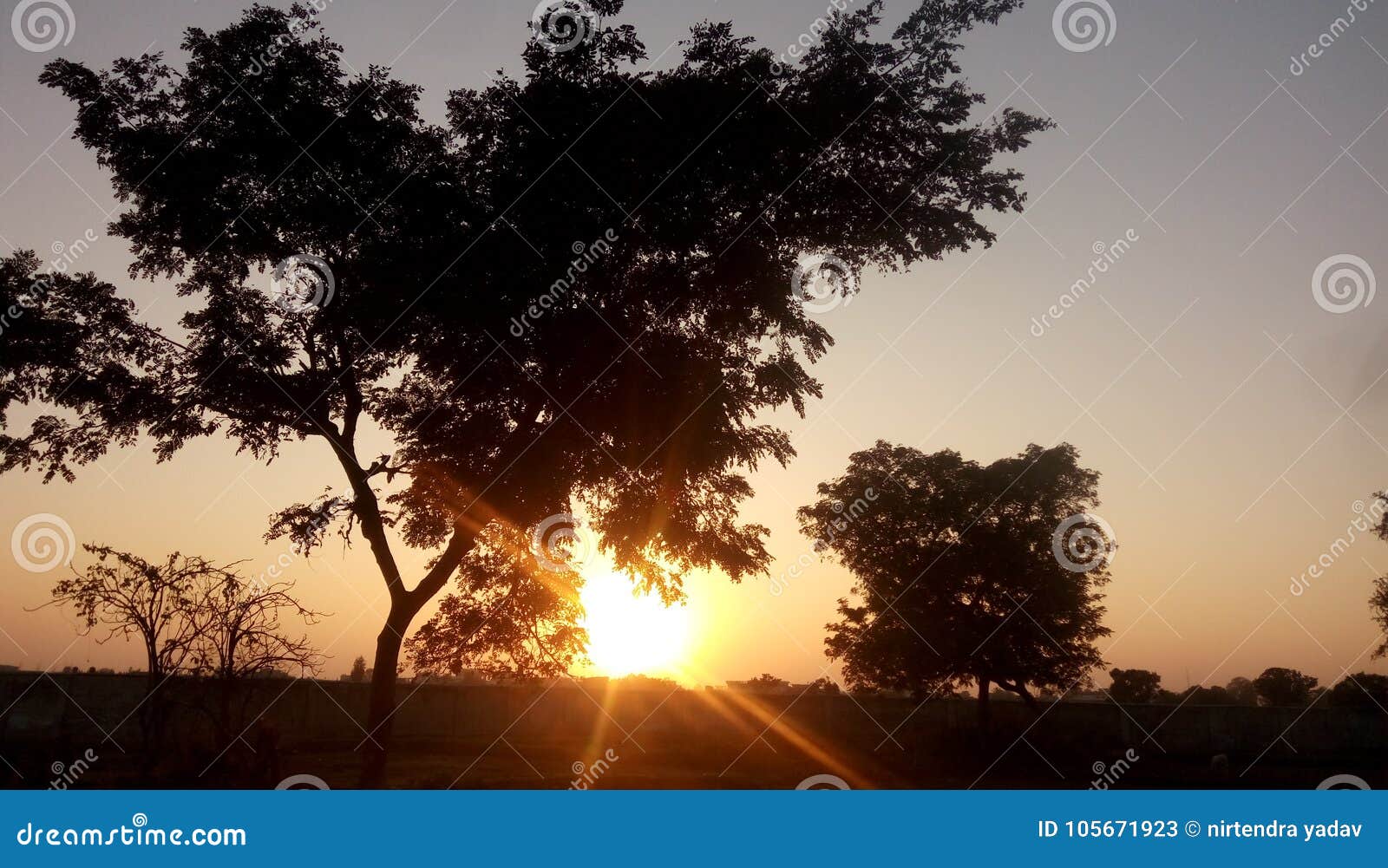 Sunset in farm editorial stock photo. Image of nature - 105671923