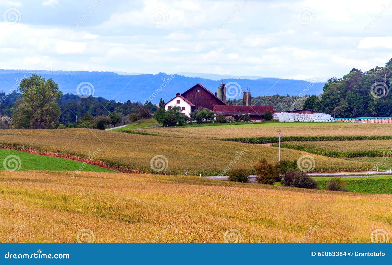 Farm in Switzerland stock photo. Image of alps, foliage - 69063384