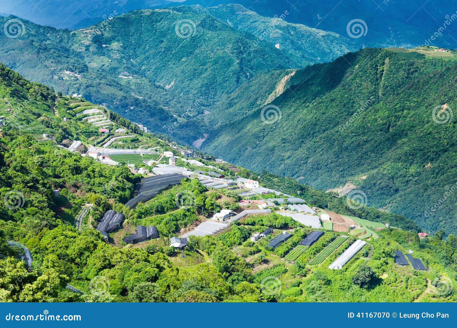 Farm in Taiwan stock photo. Image of agricultural, farming - 41167070